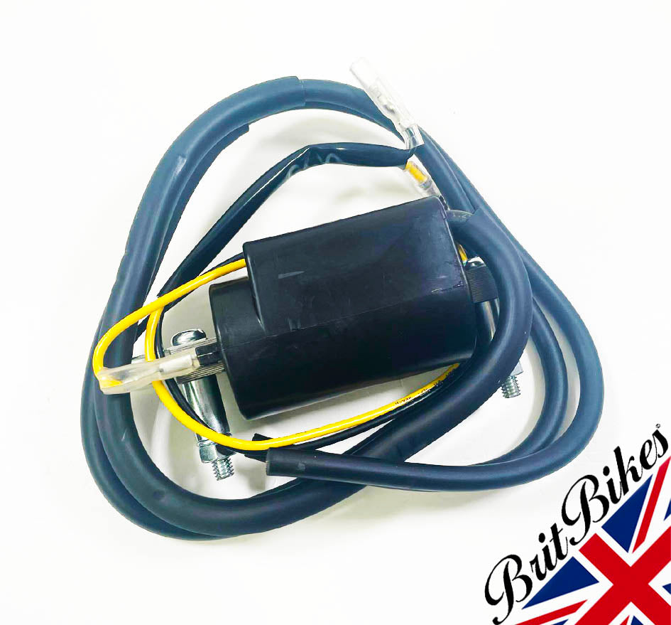 MOTORBIKE IGNITION COIL - TWIN LEAD 12V CAN BE USED WITH PAZON IGNITIO ...