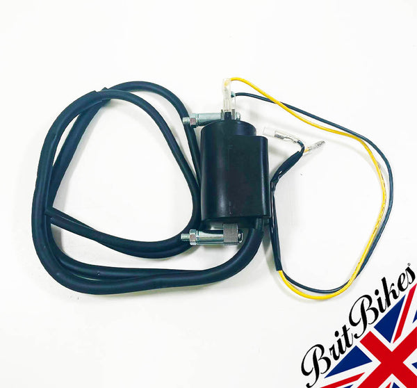 MOTORBIKE IGNITION COIL - TWIN LEAD 12V CAN BE USED WITH PAZON IGNITIO ...
